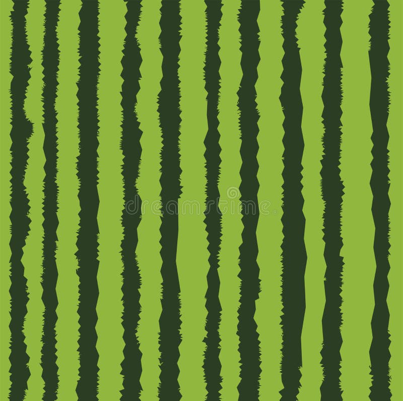 Texture of watermelon skin stock vector. Illustration of vector - 14227828