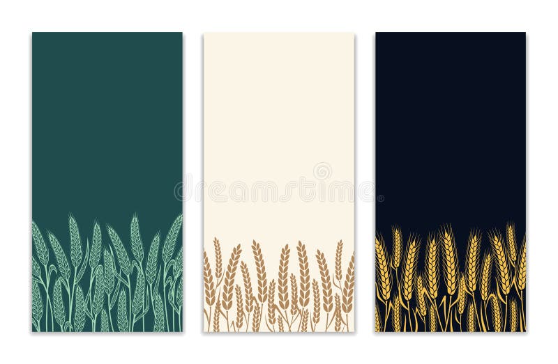 Vector Wheat Banners with Copy Space Stock Vector - Illustration of ...