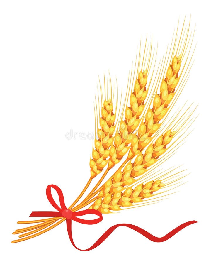 Vector Wheat with Red Ribbon on White Background Isolated. Vector ...