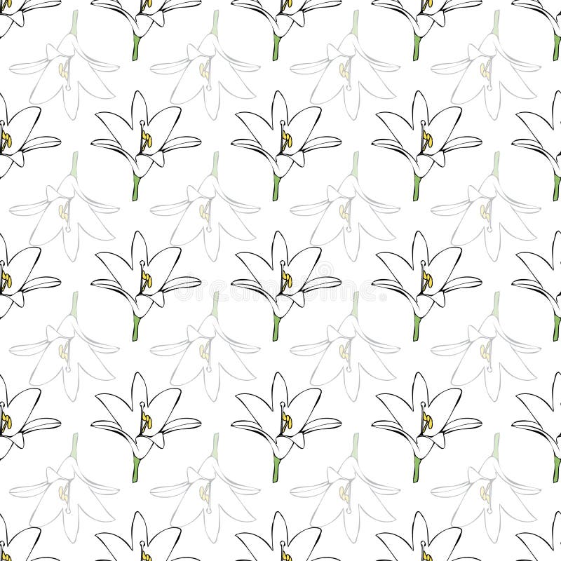 Vector White Background White Flowers Seamless Pattern. Lilies ...