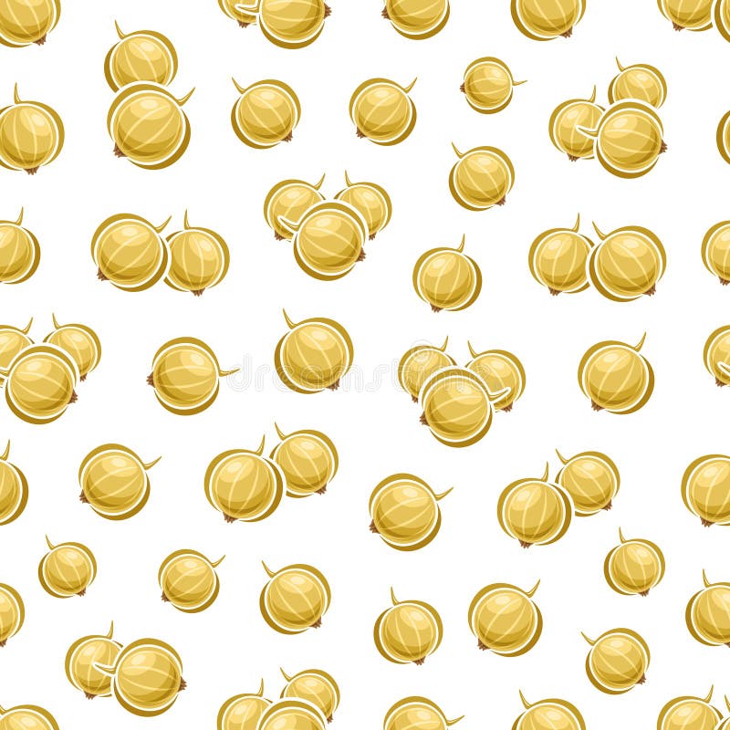 Vector White Currants Seamless Pattern Stock Vector - Illustration of ...