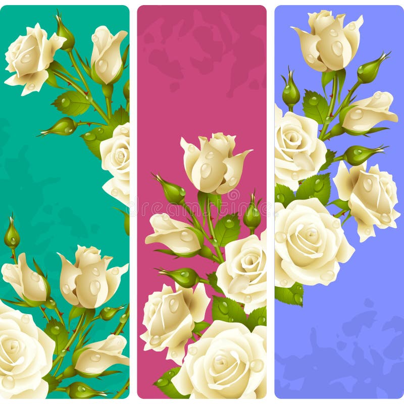 Vector Red and White Rose Vertical Seamless Patter Stock Vector ...