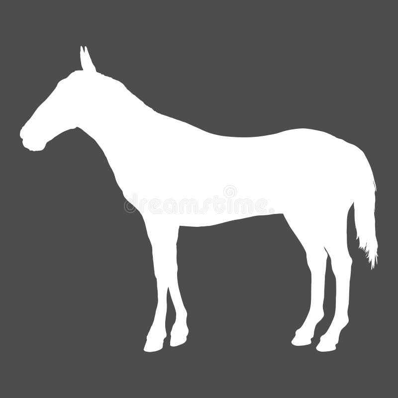 Vector White Silhouette of Horse Stock Vector - Illustration of mammal ...