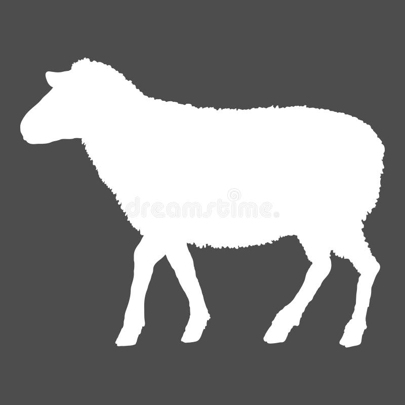 Vector White Silhouette Sheep Illustration Stock Vector - Illustration ...