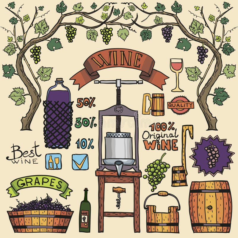 Vector Wine Infographics Color Illustrations Winemaking Design. Stock ...