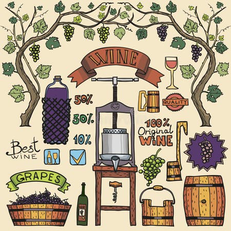 Wine Winemaking Vector Infographics Stock Illustrations – 30 Wine ...