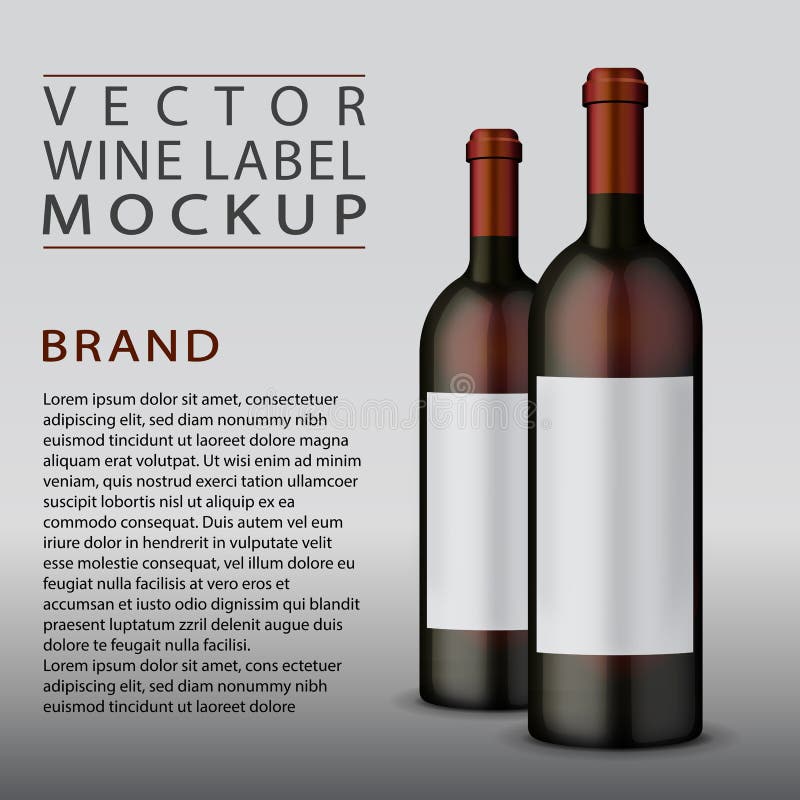 Set of Vector Wine Label, Front and Back Stock Vector - Illustration of ...