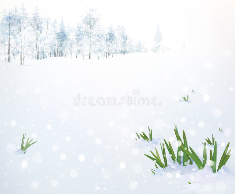 Vector winter background. stock vector. Illustration of scene - 98979138