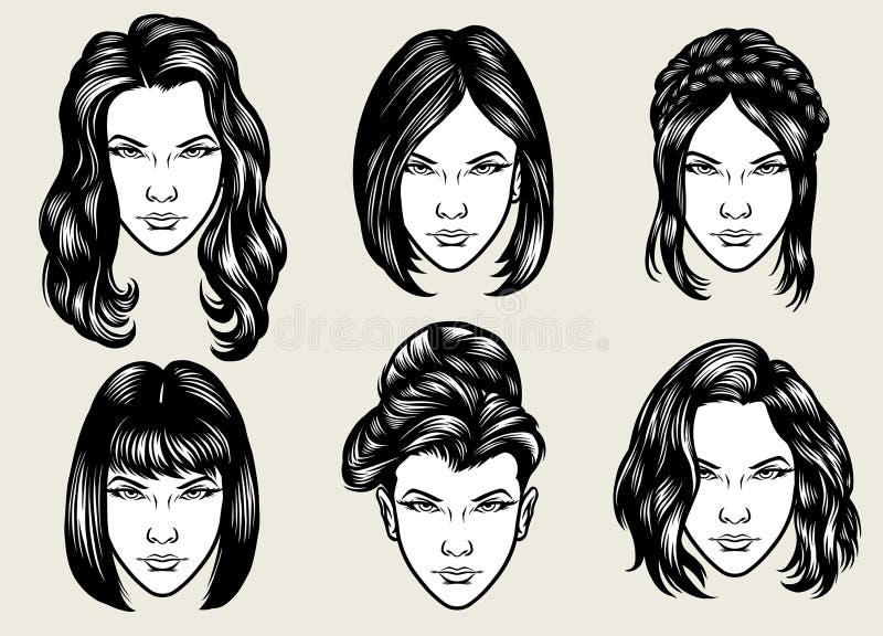 Women S Hairstyles Types Of Female Hairstyles Stock Vector