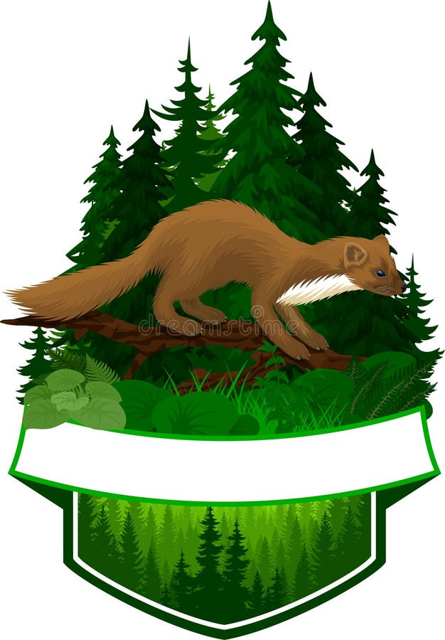 Marten Stock Illustrations – 882 Marten Stock Illustrations, Vectors ...
