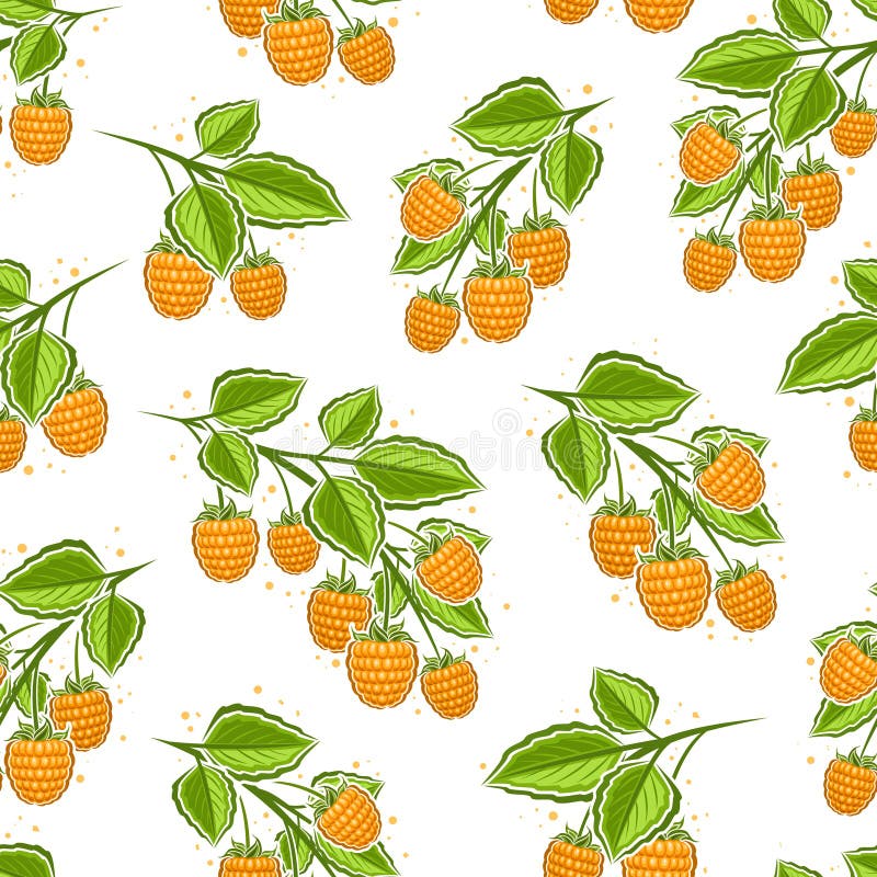 Vector Yellow Raspberry Branches Stock Vector - Illustration of floral ...
