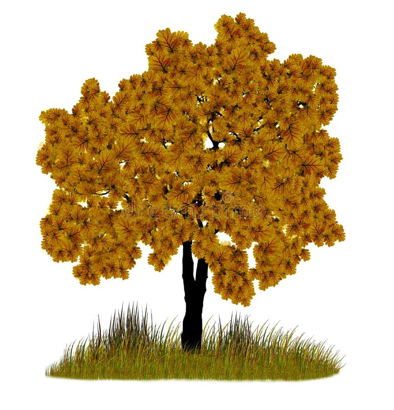 Vector young tree stock illustration. Illustration of nature - 52332330