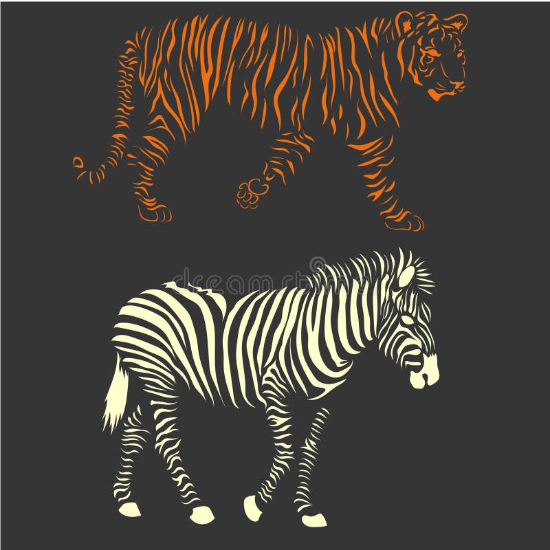 Vector zebra and tiger stock vector. Illustration of colorful - 56574635