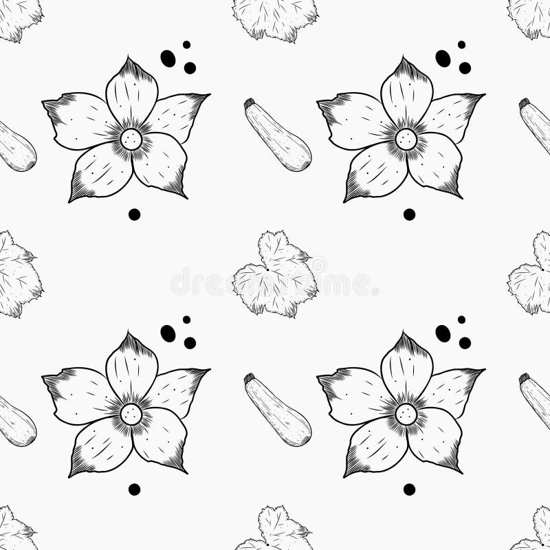 Vector Zucchini Seamless Pattern. Zucchini Slices, Flowers and Leaves ...