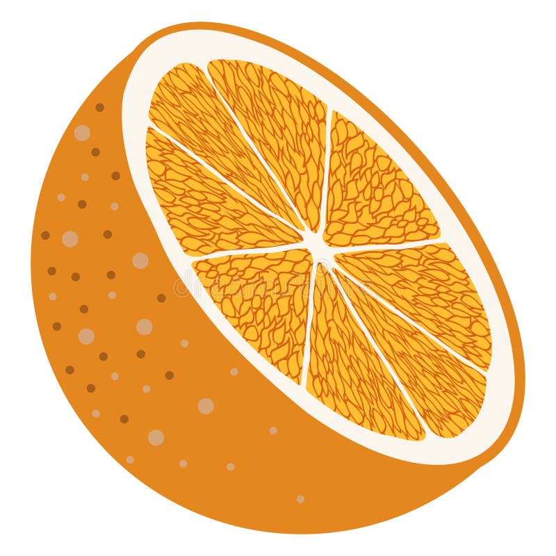Florida Orange Stock Illustrations – 692 Florida Orange Stock ...