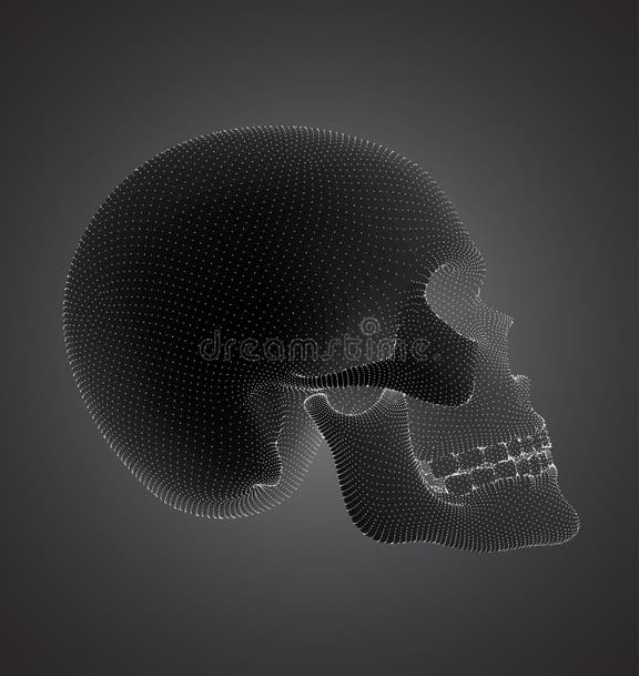 Vectorial Set of Human Skulls with Square and Triangular Stock Vector ...