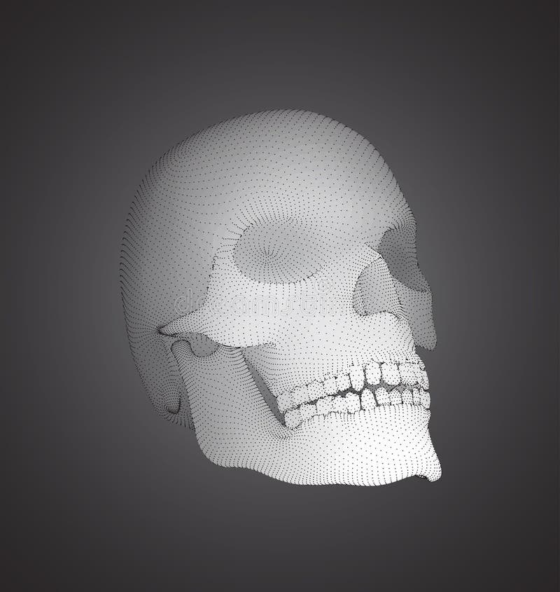 Vectorial Set of Human Skulls with Square and Triangular Stock Vector ...