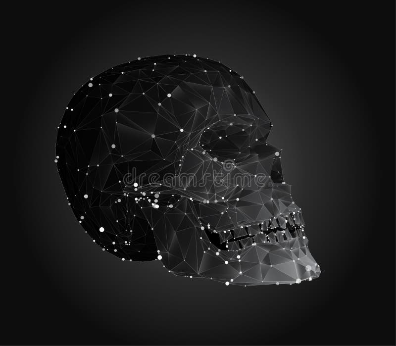 Vectorial Set of Human Skulls Stock Vector - Illustration of head, bone ...