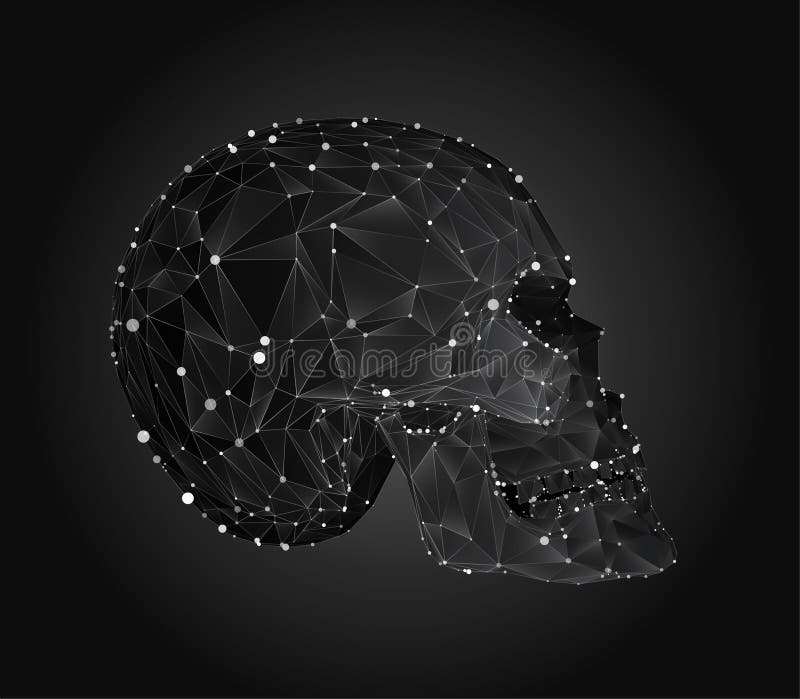 Vectorial Set of Human Skulls Stock Vector - Illustration of elix ...