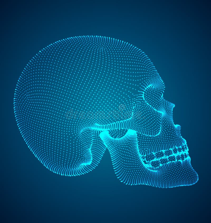 Vectorial Set of Human Skulls with Square and Triangular Stock Vector ...