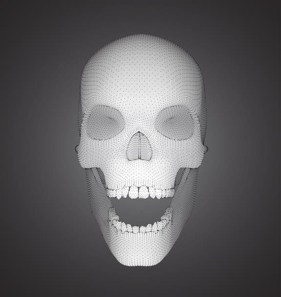 Vectorial Set of Human Skulls with Square and Triangular Stock Vector ...