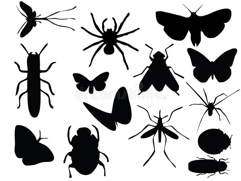 Insects Collection Vectors Sets Stock Vector - Illustration of isolated ...