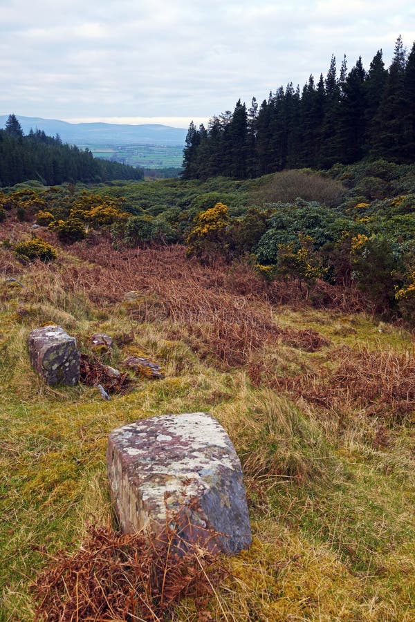 The Vee stock photo. Image of spring, beautiful, scene - 8820440