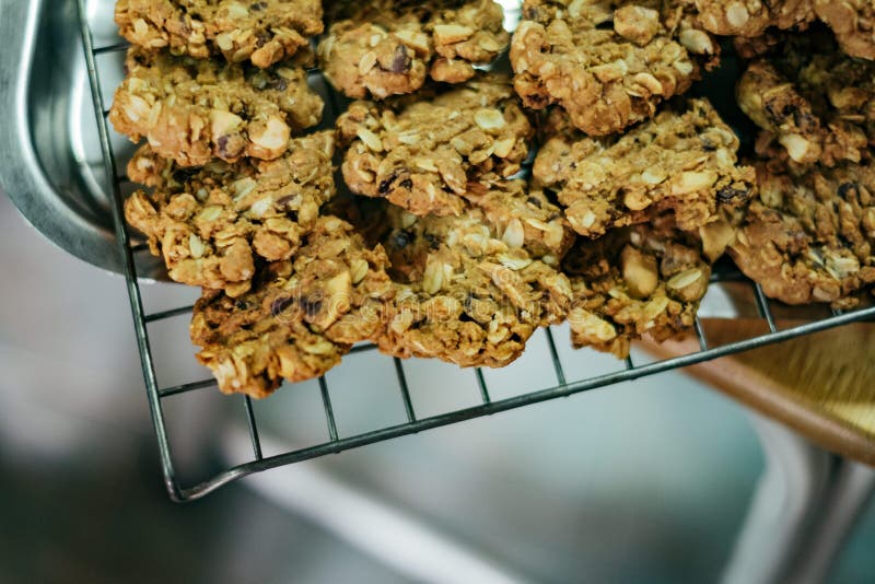 Veel Haverkoekje Op Het Dienblad Stock Afbeelding - Image of gipsplaat ...