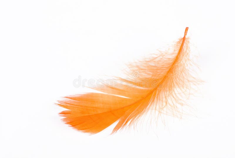 Veren stock foto. Image of vrede, vlot, veer, kleur, kleurrijk - 22014680