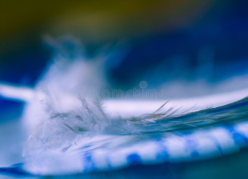 Veer stock afbeelding. Image of verwijzing, geïsoleerd - 115121591