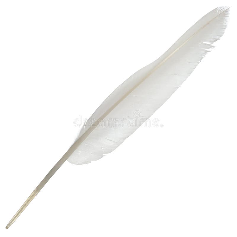 Veer stock foto. Image of veiling, achtergrond, schacht - 16843978