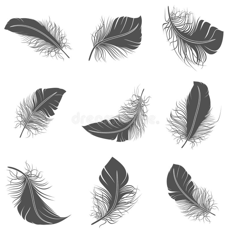 Pluim Stock Illustrations, Vectors, & Clipart – (24,589 Stock ...