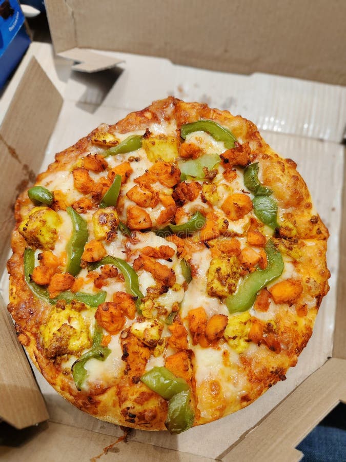 Veg Chicken Pizza Picture stock image. Image of meat - 337796923