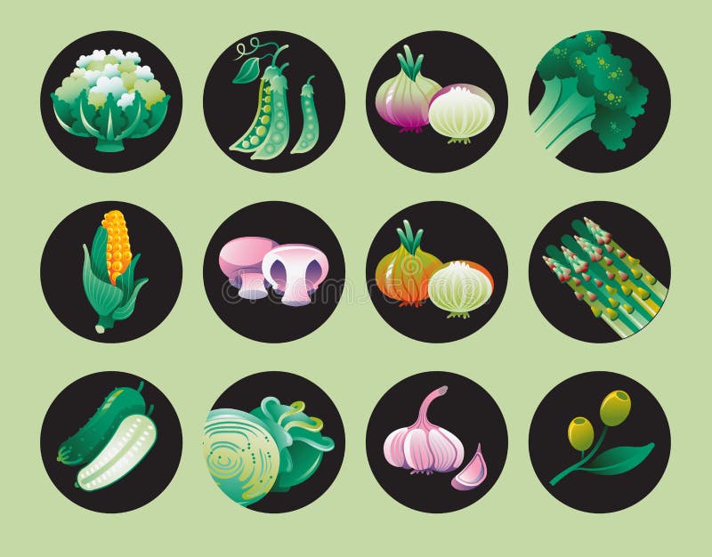 Veg Icon Green stock vector. Illustration of organic - 57400384