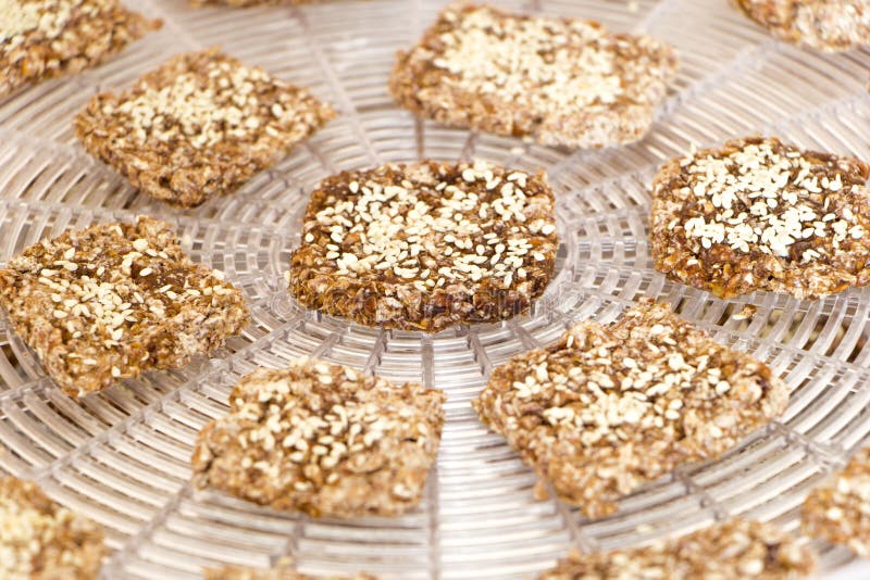 Vegan Cookies are Prepared on the Dehydrator Grid Stock Photo - Image ...