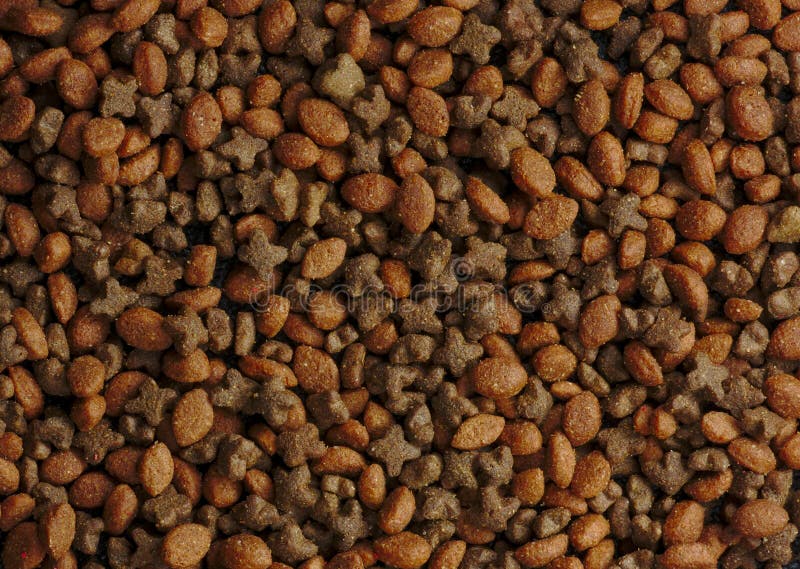Vegan Dog Food Texture. Pet Food Concept Stock Photo - Image of balance ...