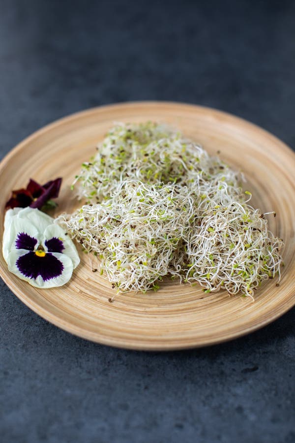 Vegan and Fresh Microgreen in a Wooden Plate Stock Photo - Image of ...