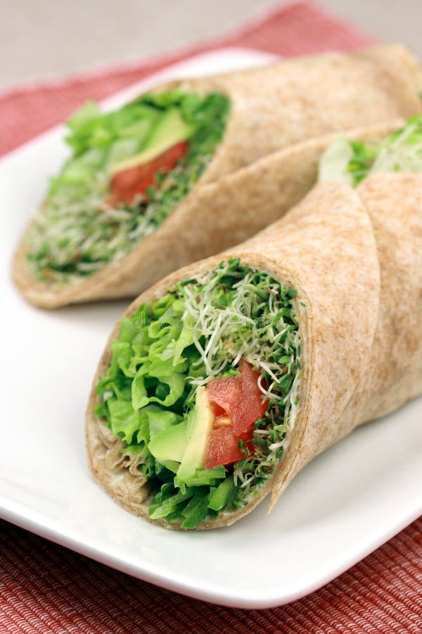 Chicken salad wraps stock photo. Image of edible, tomatoes - 8563634