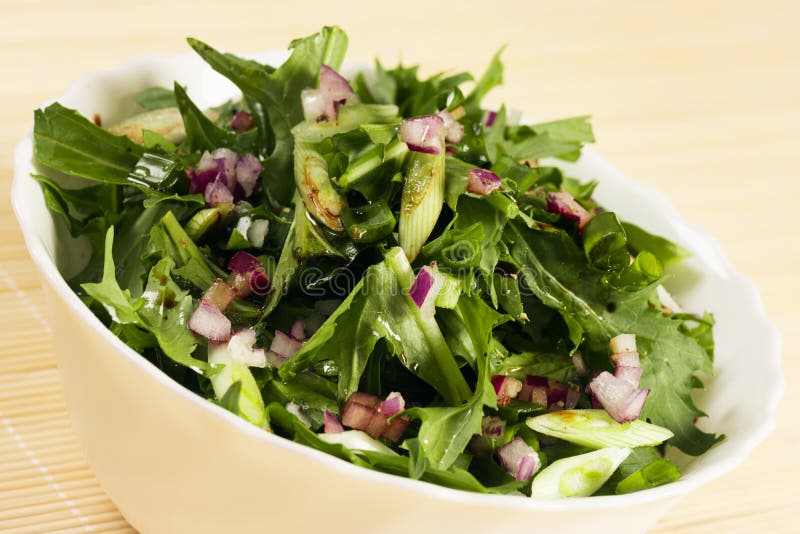 Vegan spring salad stock photo. Image of onion, spring - 93124902