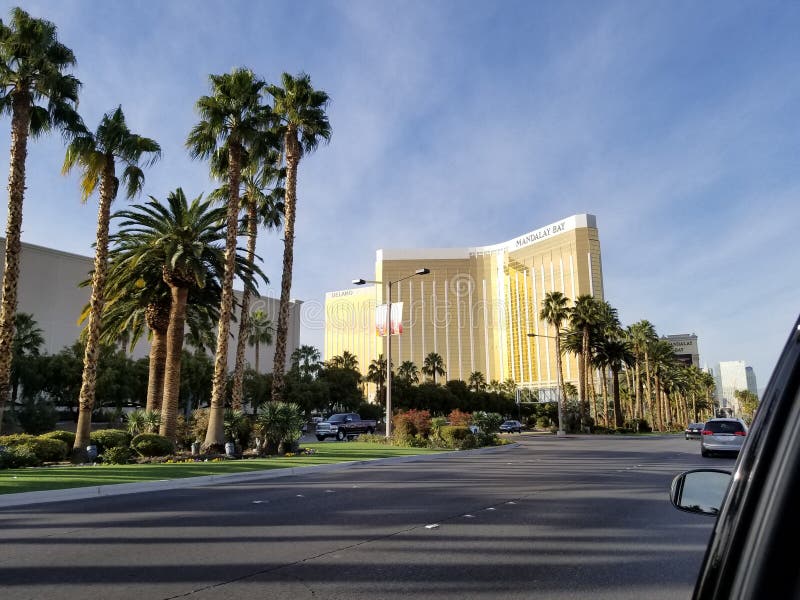 Vegas editorial photo. Image of palm, nice, vegas, mandalay - 111475796