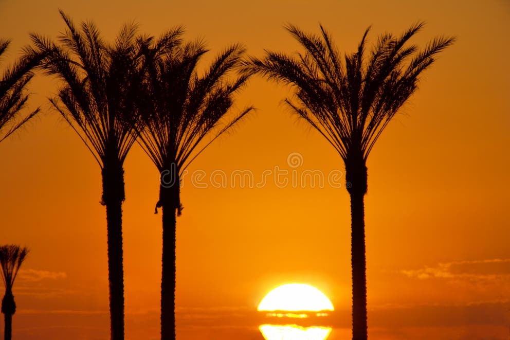 Vegas Sunrise_01 stock image. Image of achievement, gold - 1366847