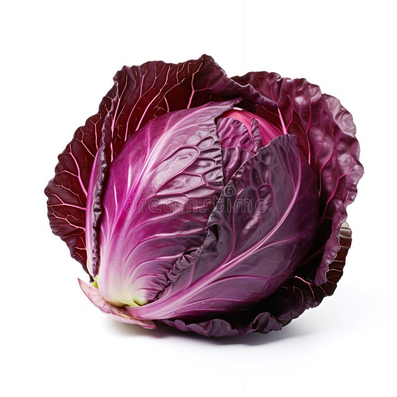 Vegatable on White Background Stock Image - Image of farming, garlic ...