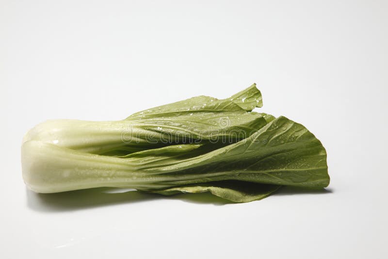 Vege stock photo. Image of choi, cabbage, green, edible - 14212380