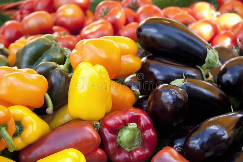 Vegetable stock image. Image of delicious, orange, aubergine - 15488069