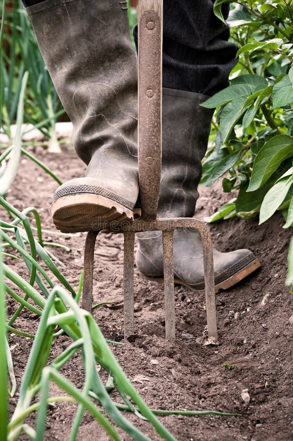 Digging in pile of topsoil stock image. Image of tool - 4348401