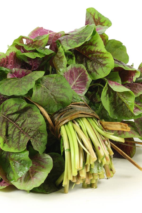Vegetable of the amaranth stock photo. Image of close - 15046958
