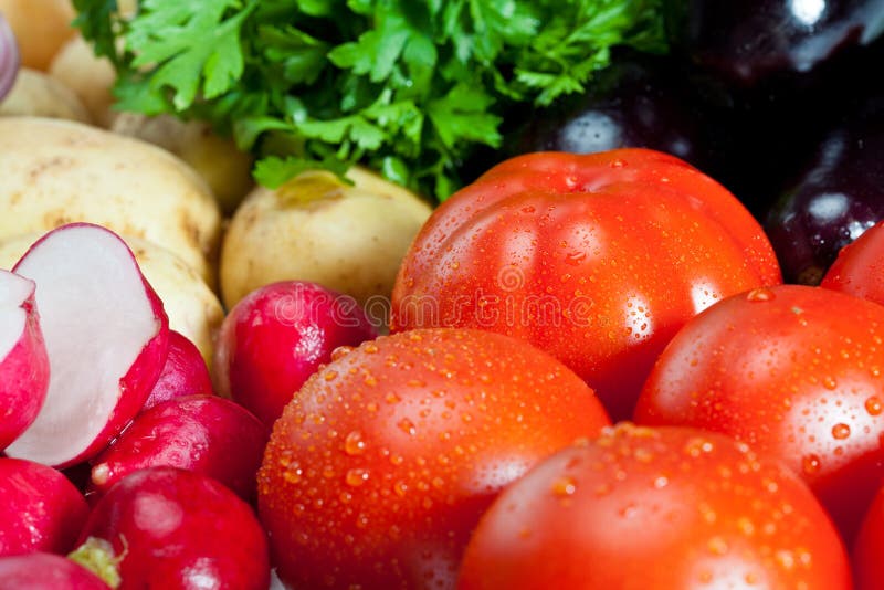 Vegetable assortment stock image. Image of harvest, eating - 26704405