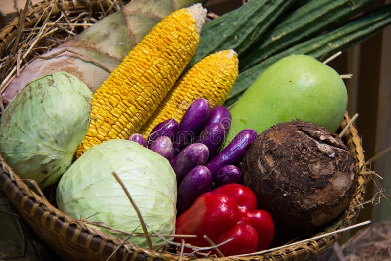 538 Taro Basket Stock Photos - Free & Royalty-Free Stock Photos from ...