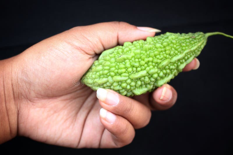 Vegetable bitter melon. stock image. Image of nutrition - 35354507