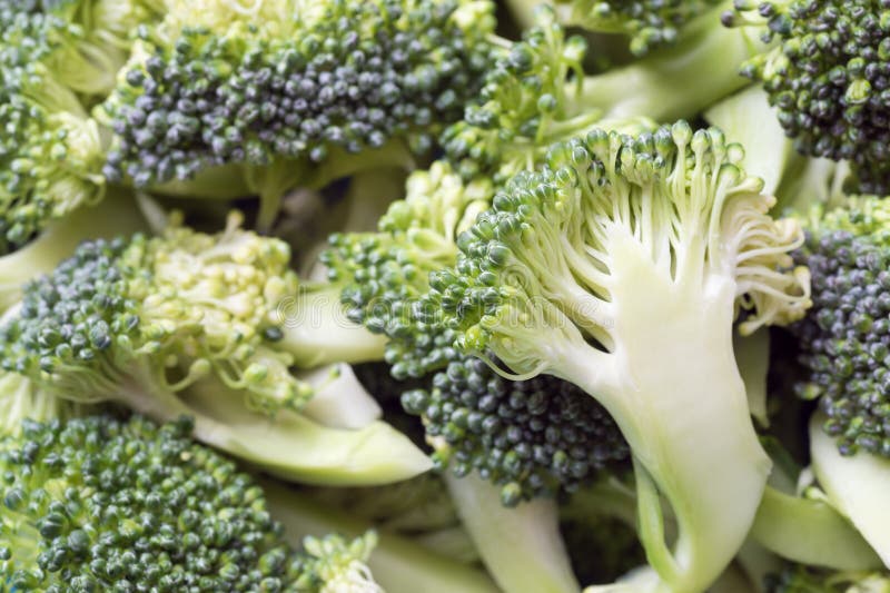 Vegetable. Broccoli slice. stock image. Image of light - 70644759